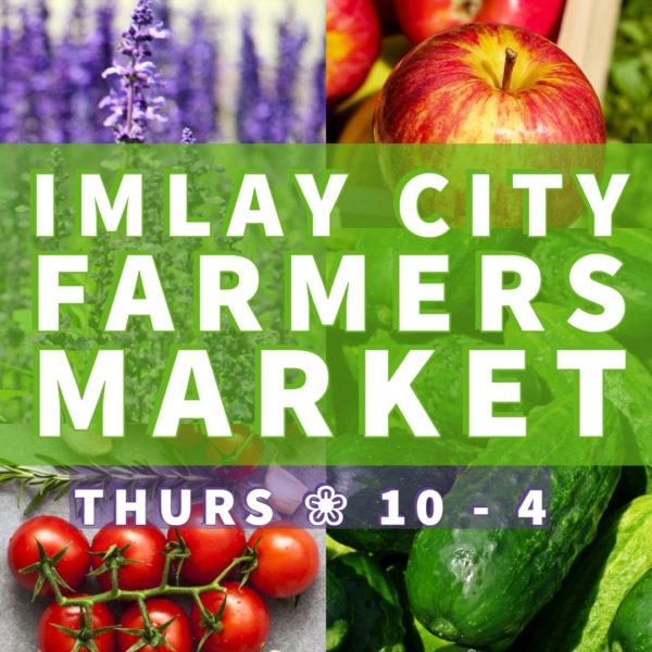 Come Play With Us | Historic Downtown Depot District of Imlay City